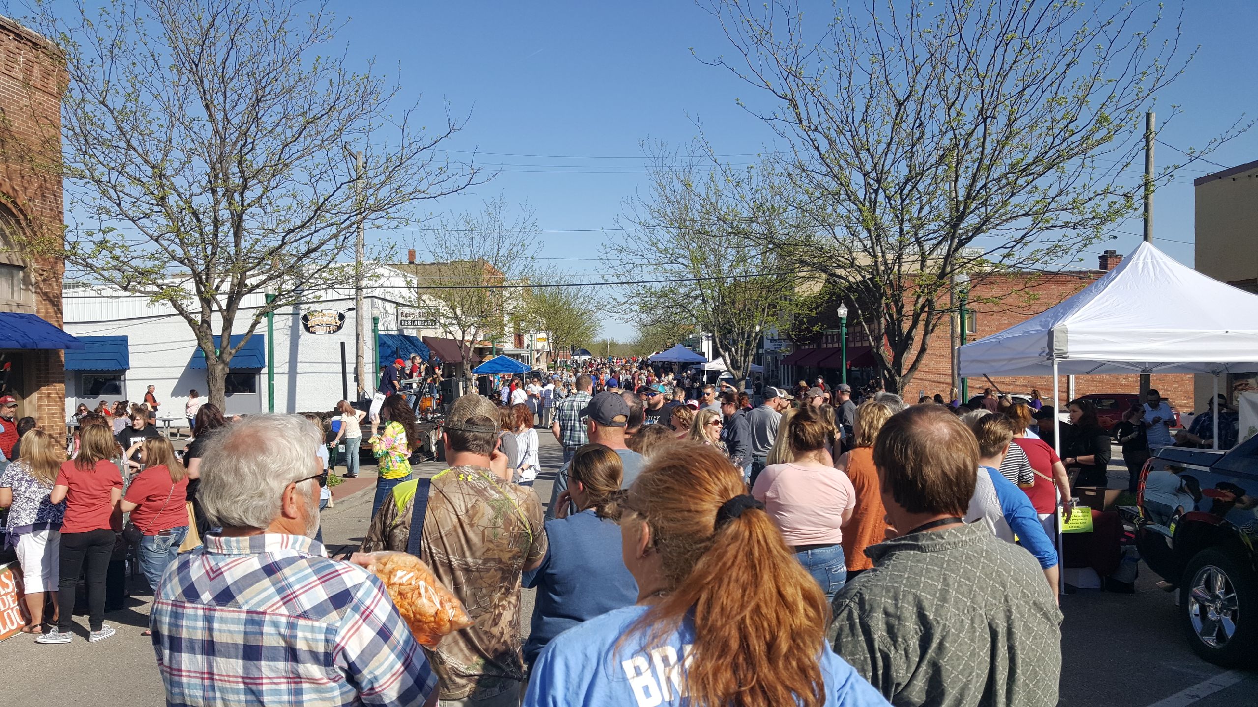 Unique Festivals and Events in Benton County, MO